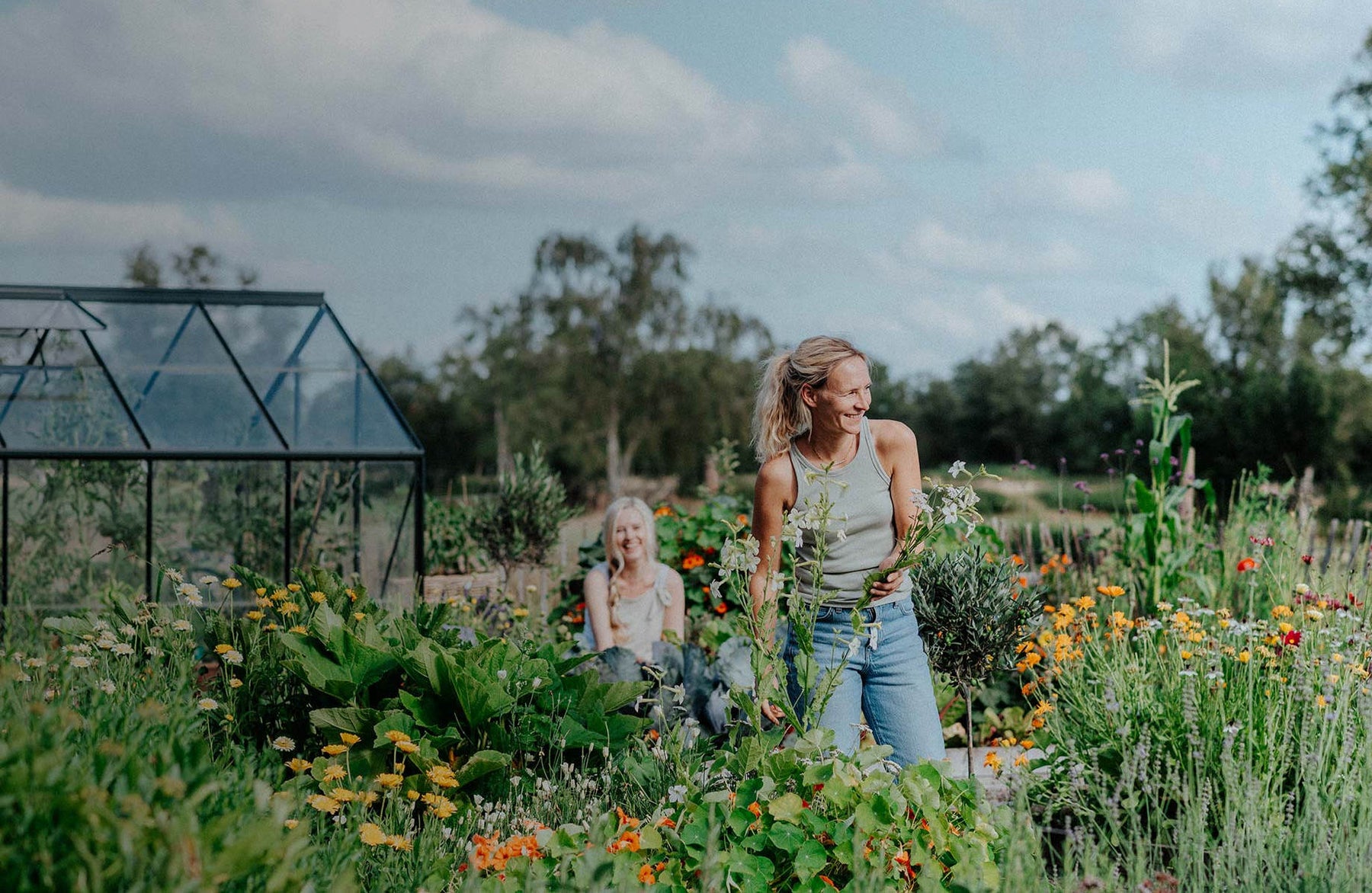 Pflanzen kaufen in Gärtnerqualität - BLOOMIFY